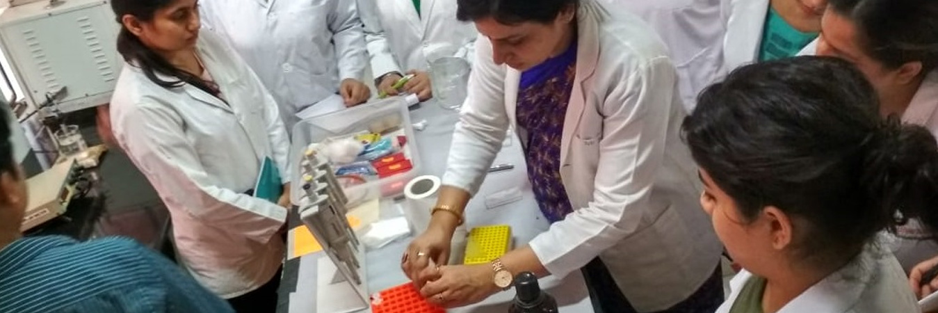 IHE (Institute of Home Economics)